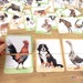 Farm Animals Puzzle Pairs: Toddler Learning Activity. Match - Etsy