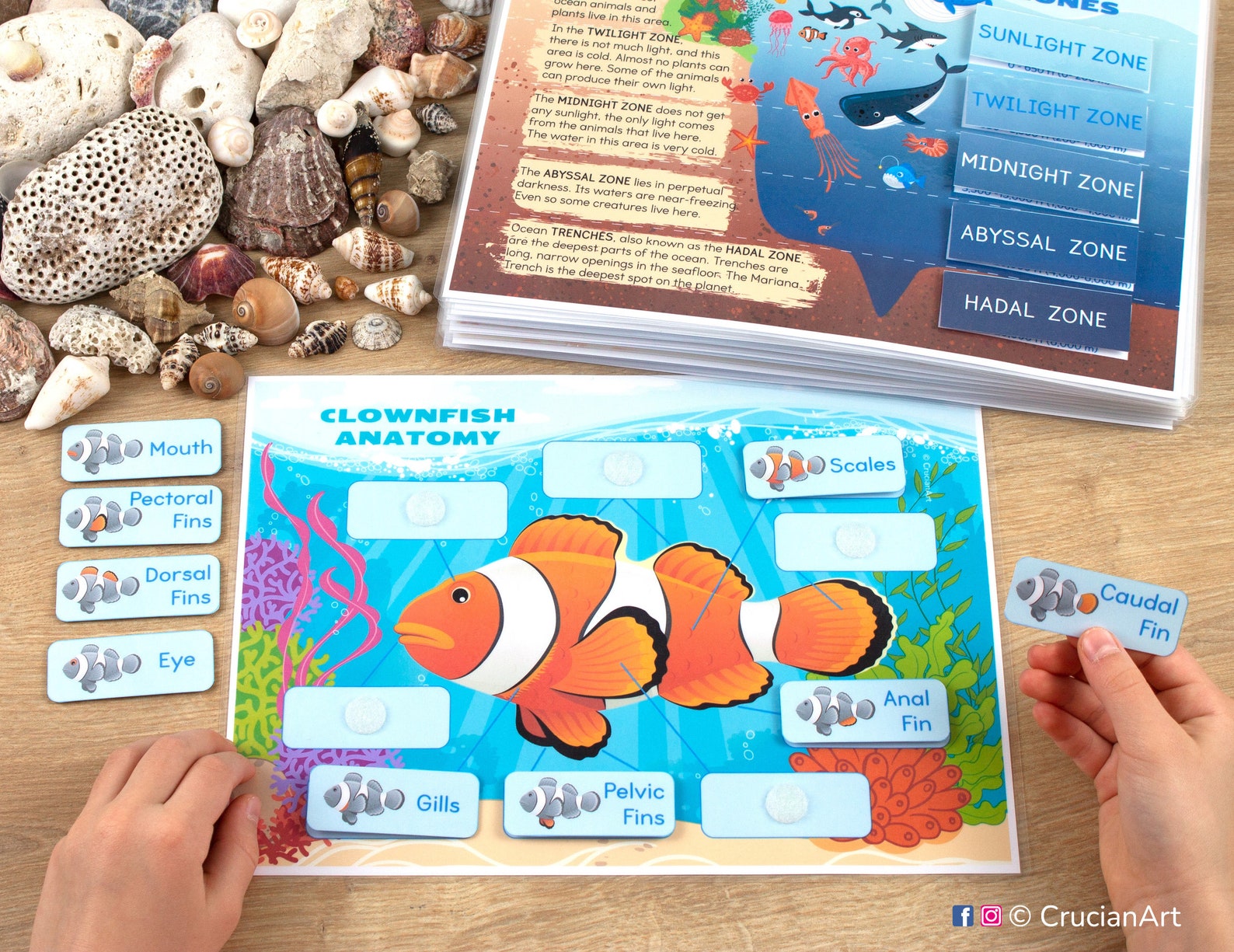 Ocean Animals Activity Book. Under the Sea Printable Busy Book. Ocean ...