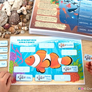 Ocean Animals Activity Book. Under the Sea Printable Busy Book. Ocean ...