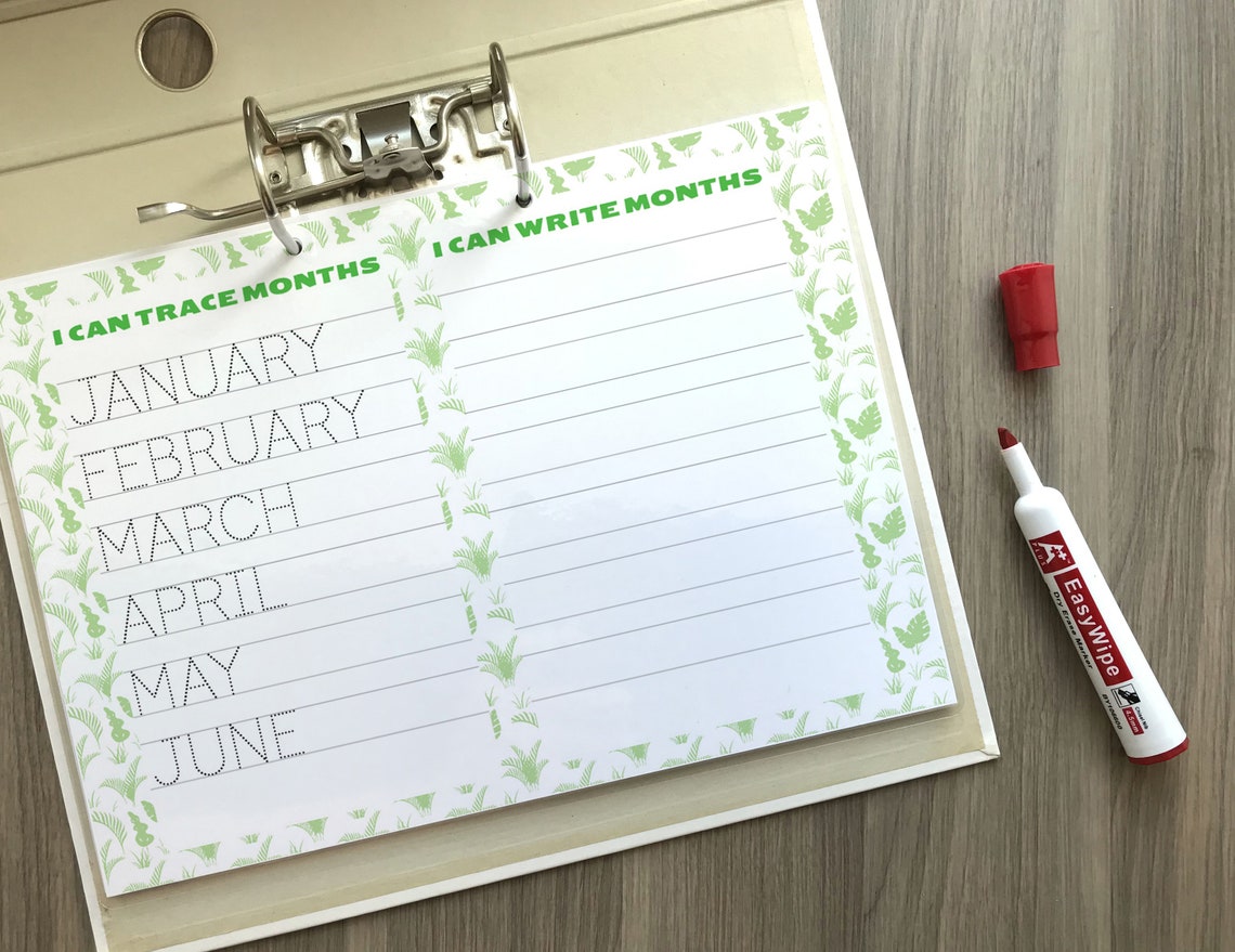 Dinosaur Season & Months Printable Activities. Circle Time | Etsy