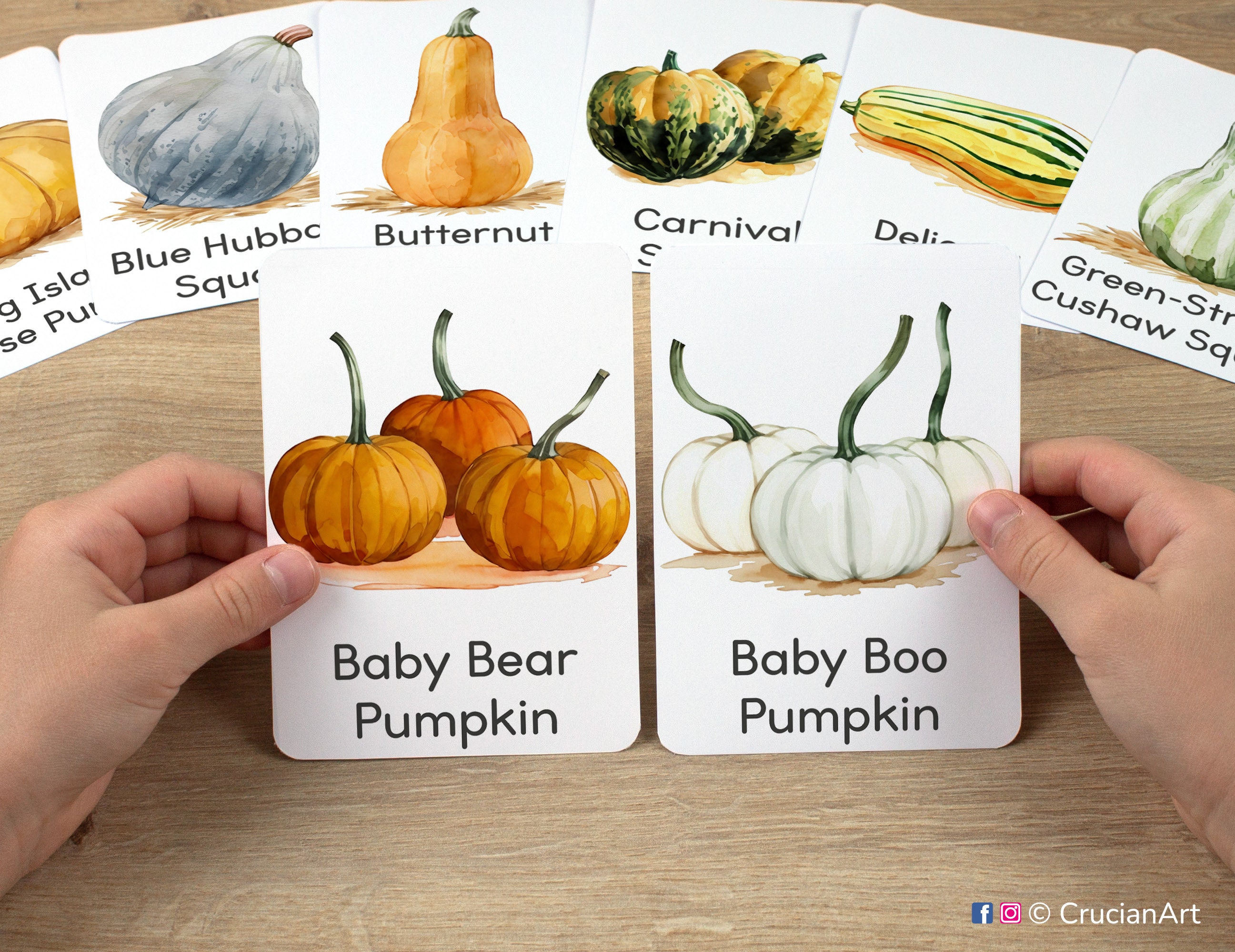 Pumpkin & Squash Flashcards: Seasonal Visual Cards for Fall Education ...