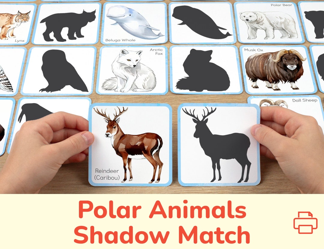 Arctic Animals Shadow Matching Activity: Printable Match Cards for ...