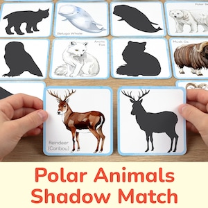 Arctic Animals Shadow Matching Activity: Printable Match Cards for ...