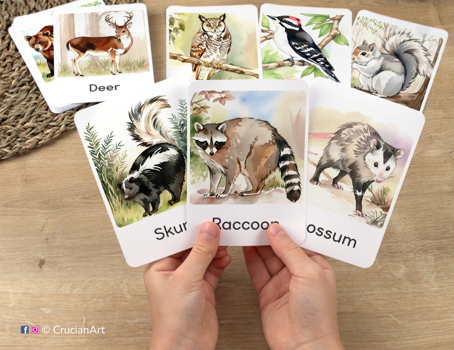 Woodland Animals Flashcards: Toddler Preschool Kindergarten Printable ...