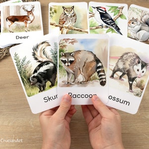 Woodland Animals Flashcards: Toddler Preschool Kindergarten Printable ...
