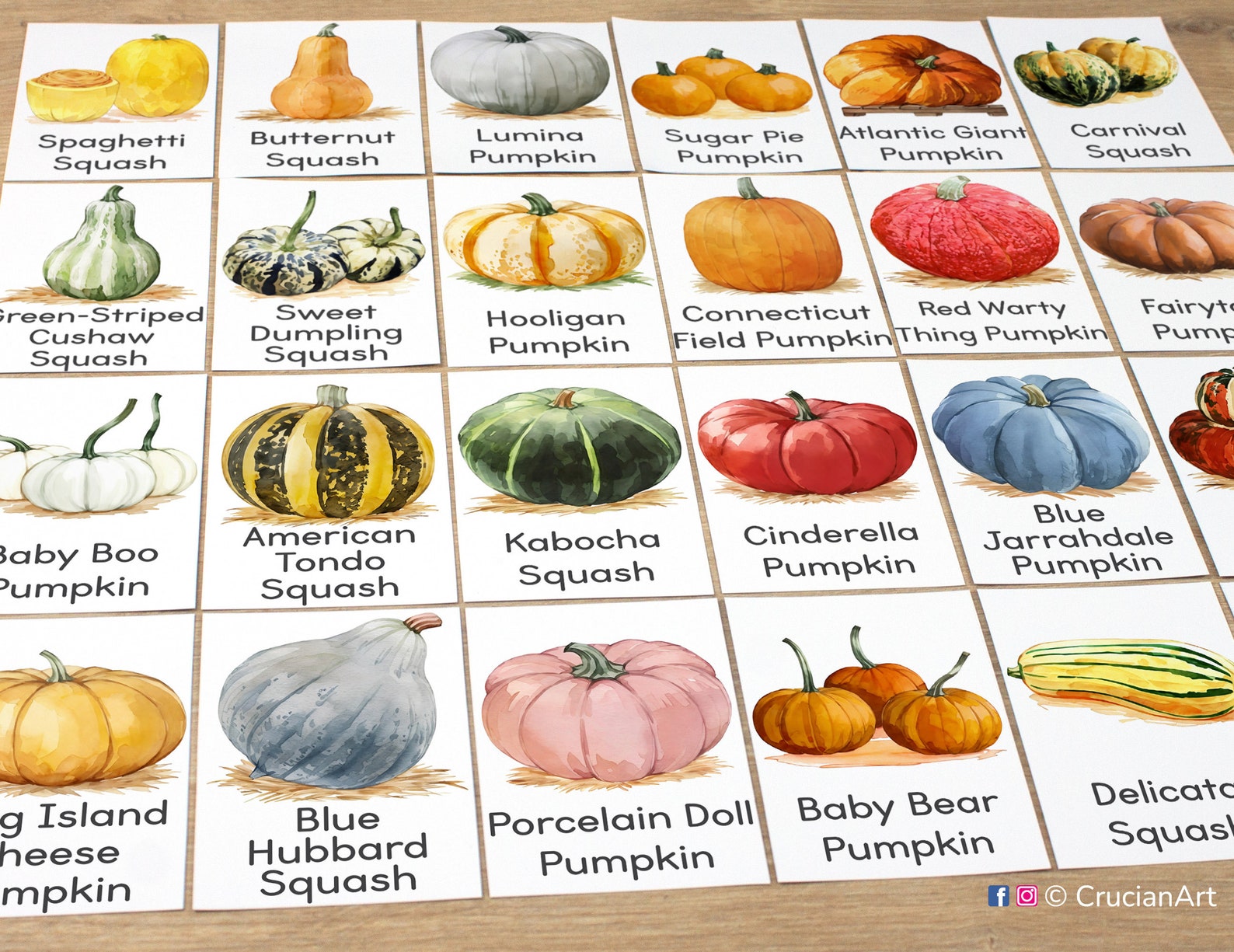 Pumpkins and Squashes Bingo Game: Printable Preschool, Kindergarten ...