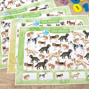 Dog Breeds I Spy Counting Activity. Preschool Learning Worksheets ...