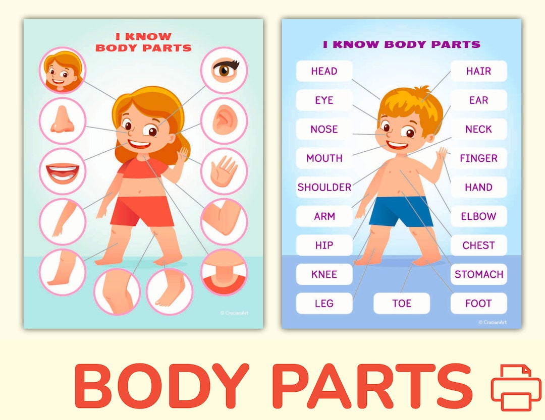 Body and Face Parts Printable Learning Pack for Toddler, Preschool, Pre ...