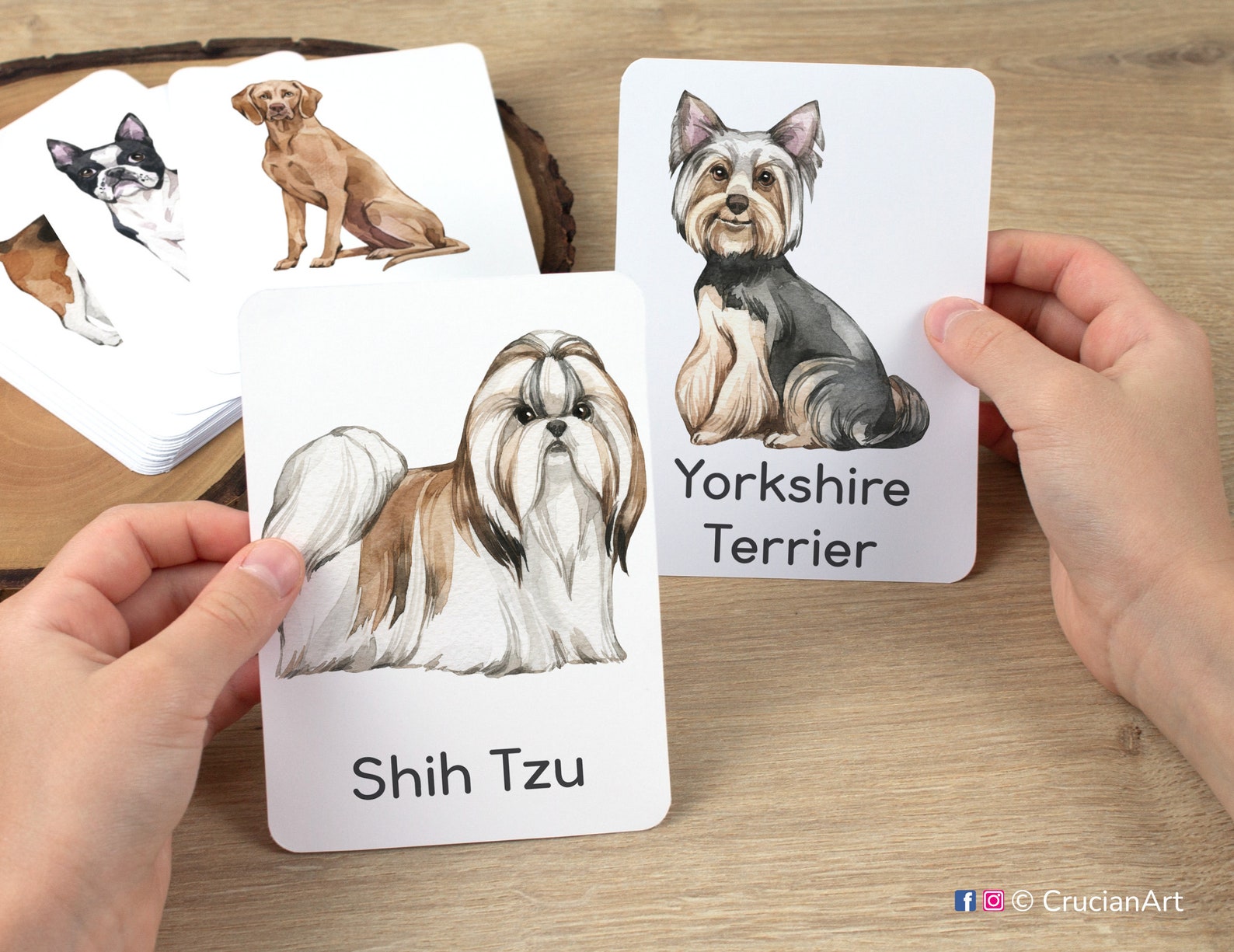 Dog Breeds Flashcards: Set of Printable Flash Cards. Preschool Learning ...