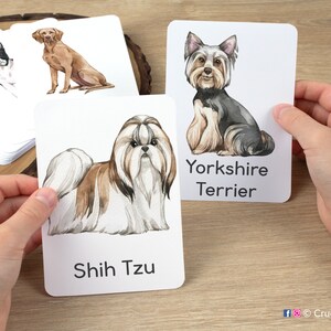 Dog Breeds Flashcards: Set of Printable Flash Cards. Preschool Learning ...