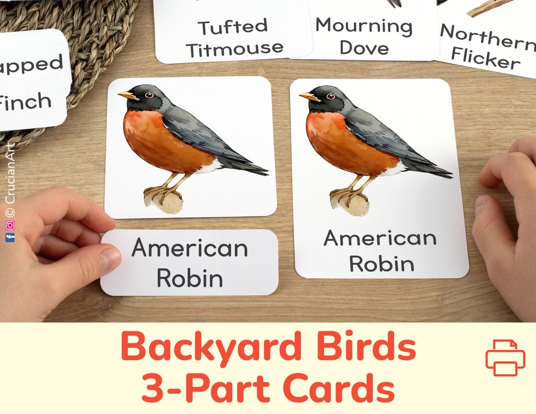 North American Backyard Birds 3-part Cards. Printable Learning ...