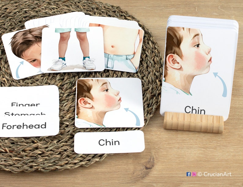 Body Parts 3-part Cards, Boy Version. Body Identification Printable ...
