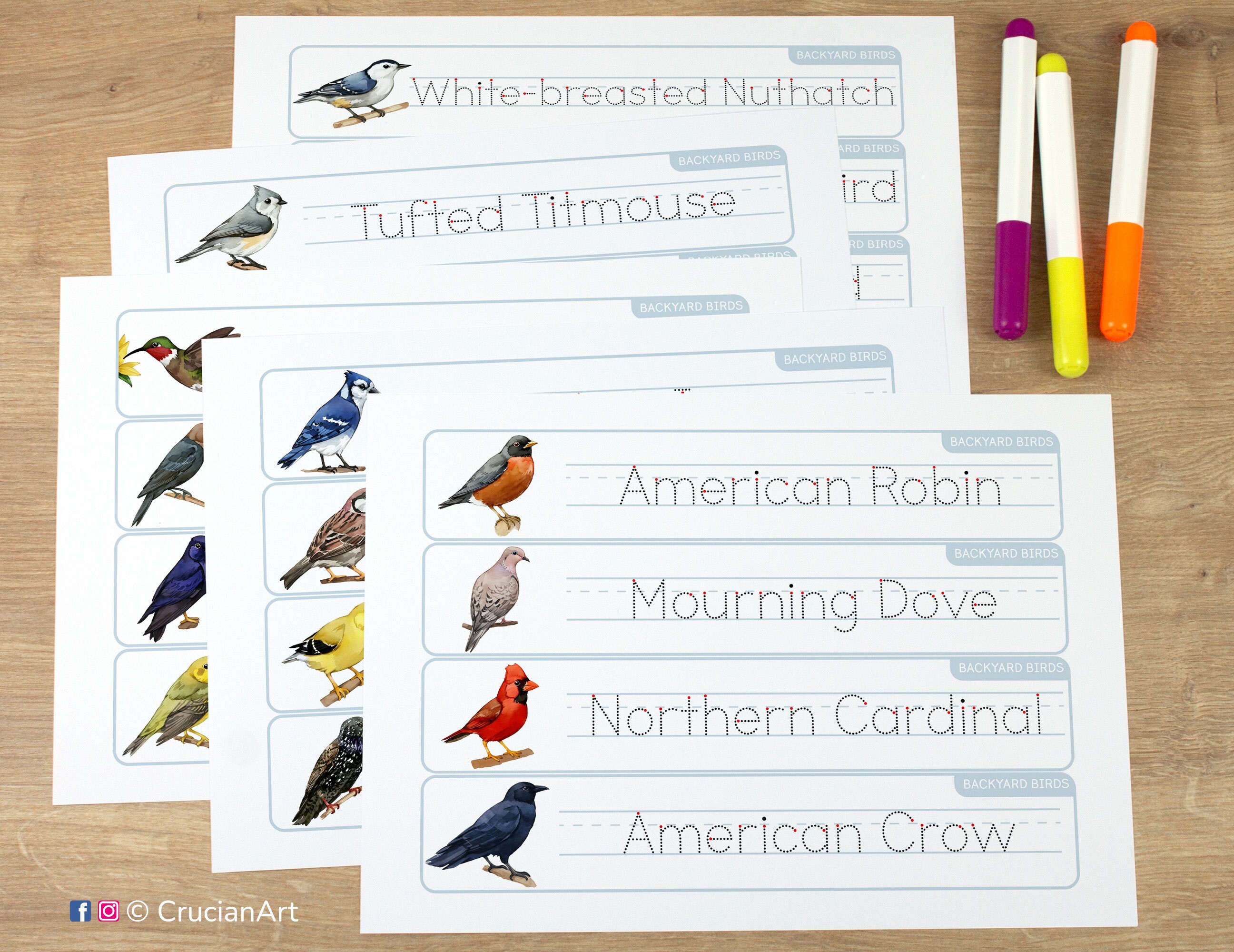 North American Backyard Birds Tracing Cards. Printable Learning ...