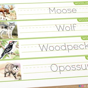 Woodland Animals Handwriting Worksheets: Printable Vocabulary Activity ...