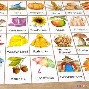 Fall Themed Bingo Game: Printable Preschool, Kindergarten, Toddler ...