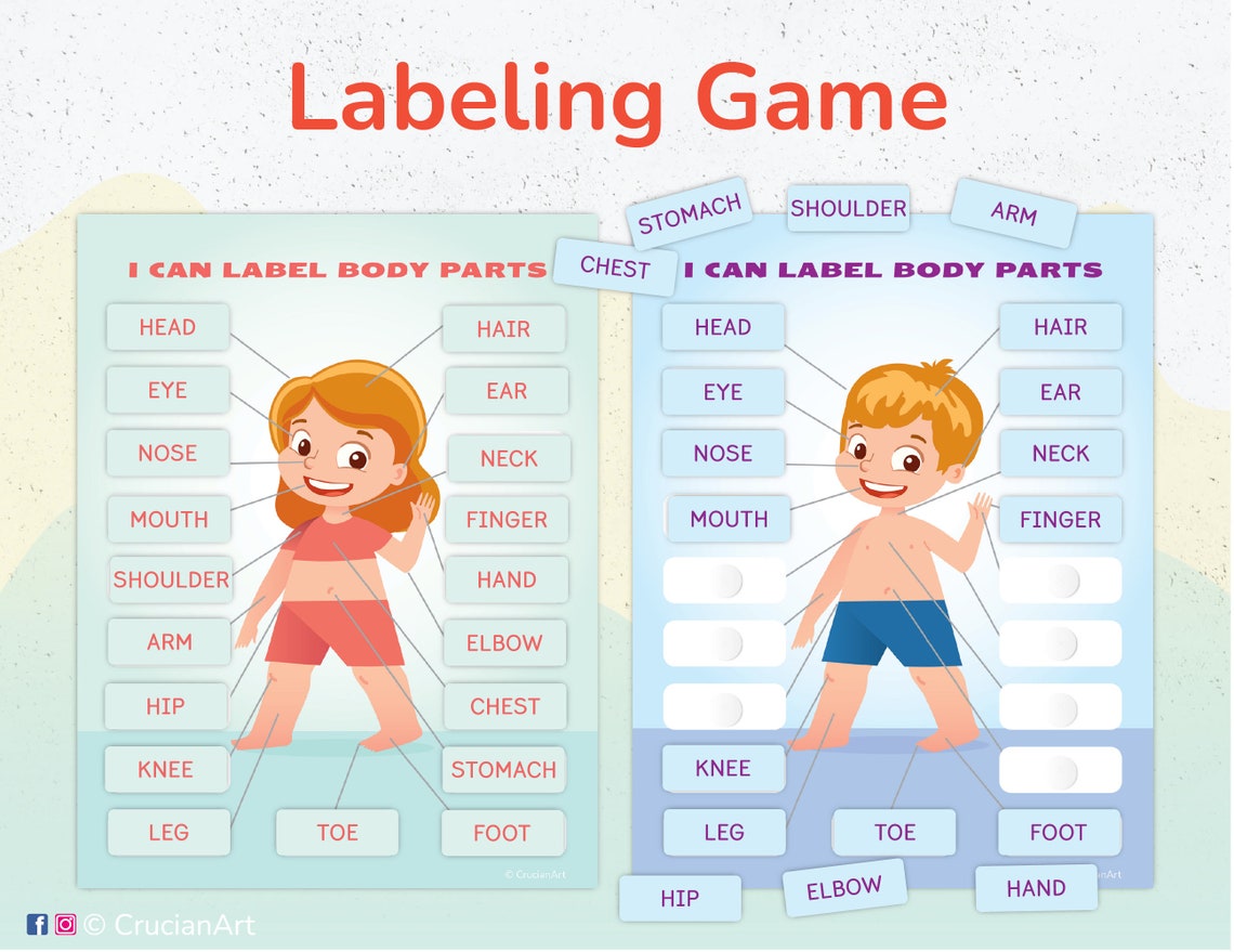 Body and Face Parts Printable Learning Pack for Toddler - Etsy