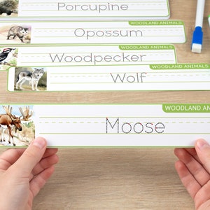 Woodland Animals Handwriting Worksheets: Printable Vocabulary Activity ...