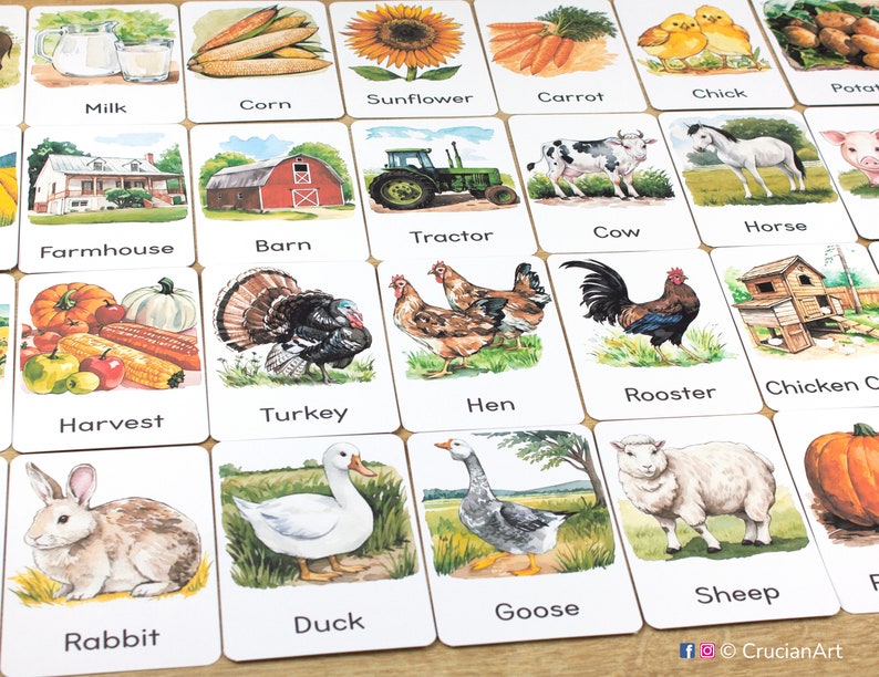 Farm Life Words Learning Flashcards. 3-part Cards Printable - Etsy