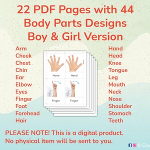 BOY & GIRL Versions Body Parts 3-part Cards. Body Identification ...