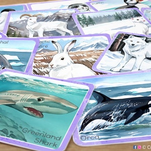 Polar Animals Memory Game: Printable Toddler Preschool Kindergarten ...