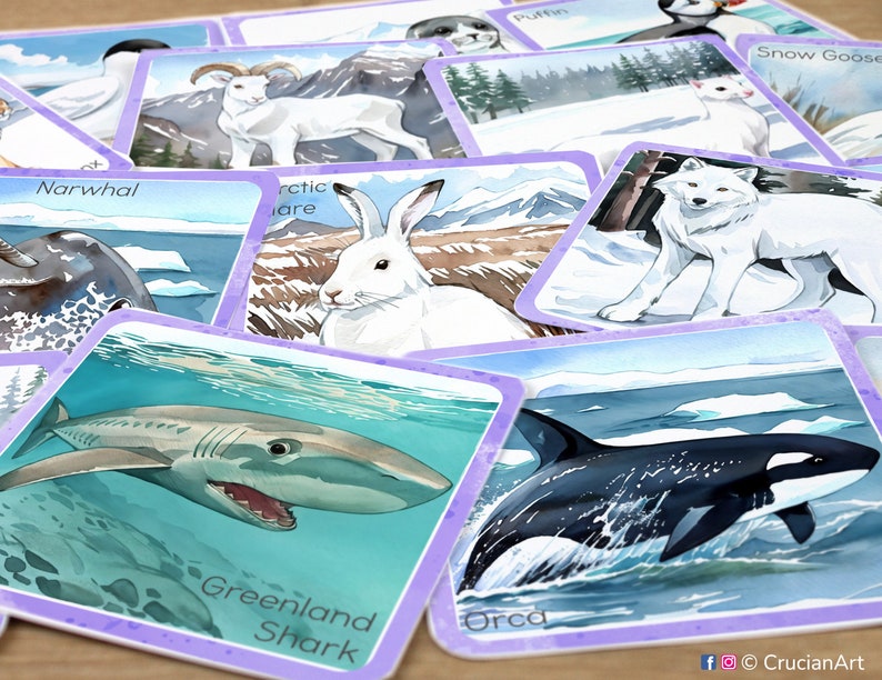 Polar Animals Memory Game: Printable Toddler Preschool Kindergarten ...