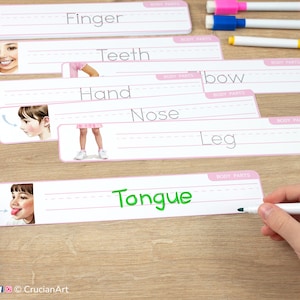 Girl Version Body Parts Tracing Strips: Printable Educational ...