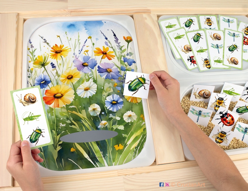 Meadow Insects Flisat Insert: Matching Activity for Sensory Table ...