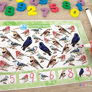 Backyard Birds I Spy Counting Activity. Preschool Learning Worksheets ...