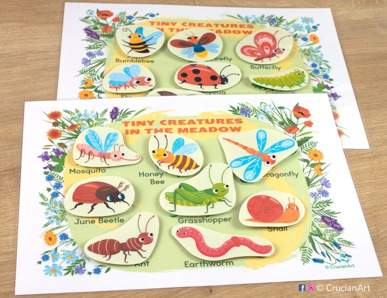 Little Creatures: Bugs & Insects Shadow Matching Activitiy. - Etsy