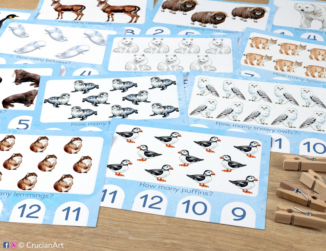 Polar Animals Count & Clip Cards. Printable Counting up to 12 Activity ...
