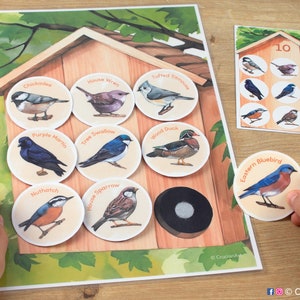 Cavity-nesting Birds Pattern Recognition Activity. Printable Matching ...