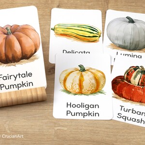 Pumpkin & Squash Flashcards: Seasonal Visual Cards for Fall Education ...