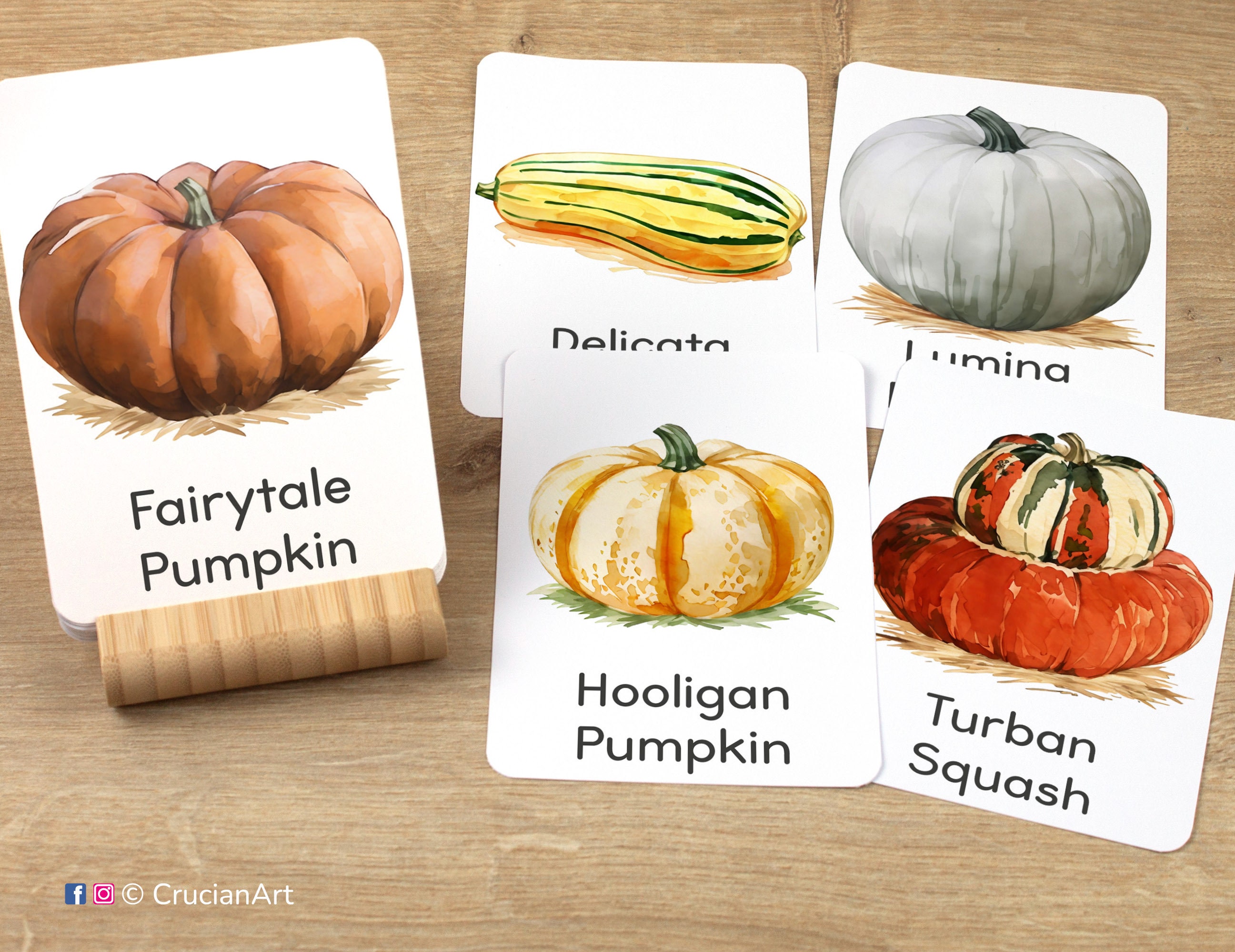 Pumpkin & Squash Flashcards: Seasonal Visual Cards for Fall Education ...