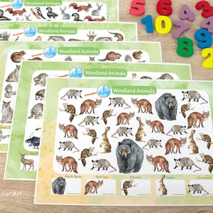 Woodland Animals I Spy Counting Activity. Preschool Learning Worksheets ...
