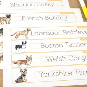 Dog Breed Tracing Strips: Printable Educational Activities, Preschool ...