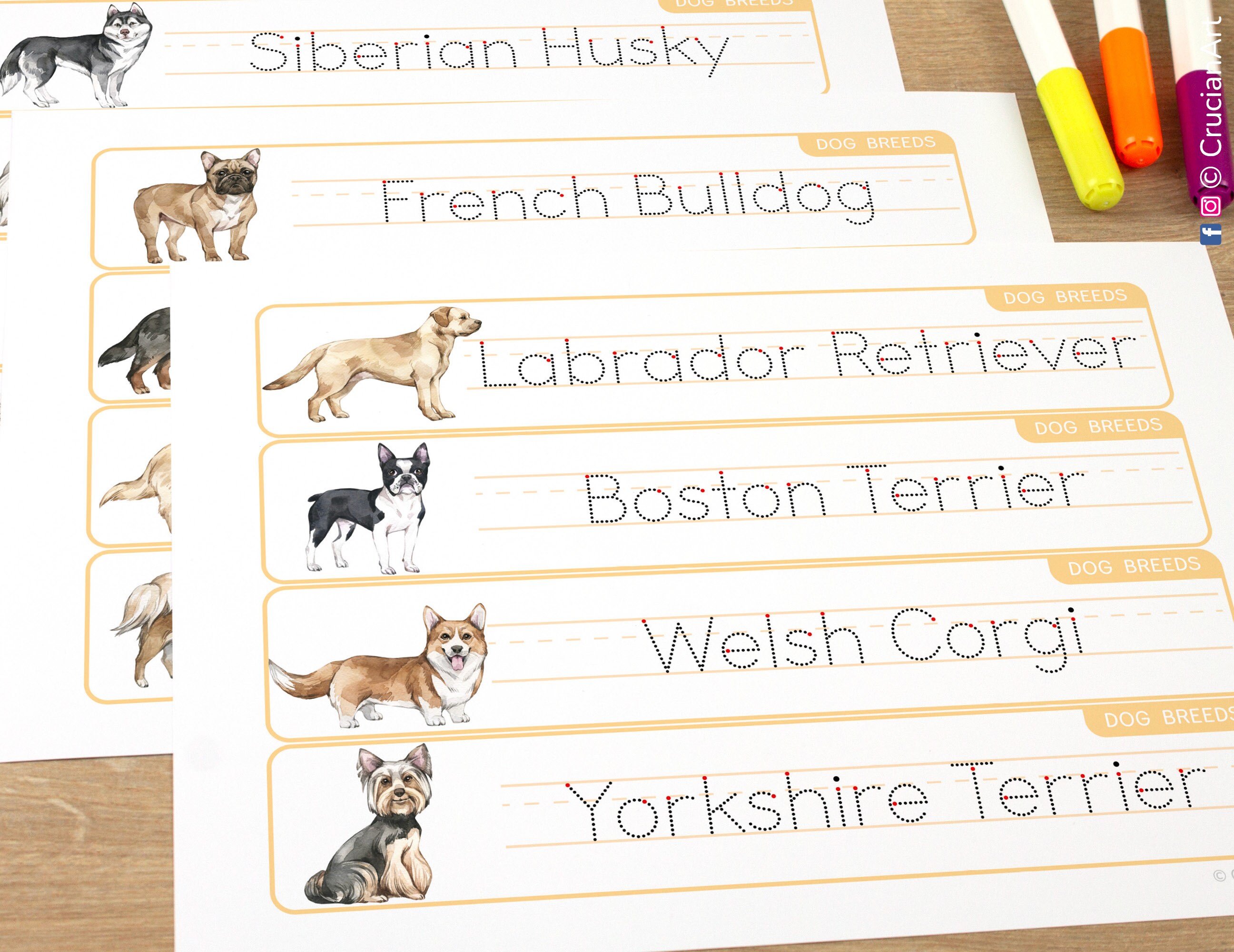 Dog Breed Tracing Strips: Printable Educational Activities, Preschool ...