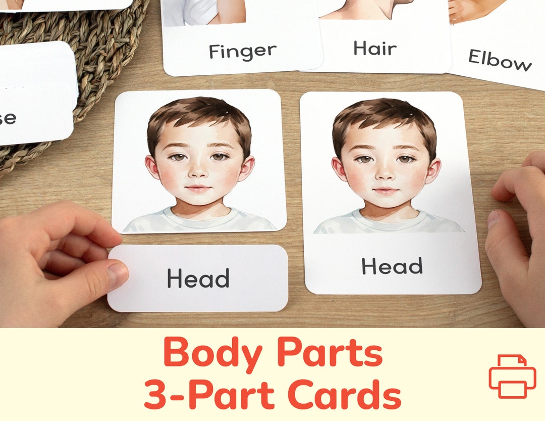 BOY & GIRL Versions Body Parts 3-part Cards. Body Identification ...