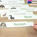 Woodland Animals Tracing Strips: Printable Educational Activities ...