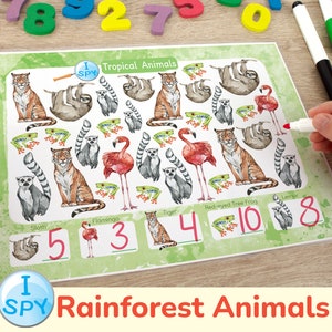 I Spy Tropical Rainforest Jungle Animals Counting Activity. Preschool ...
