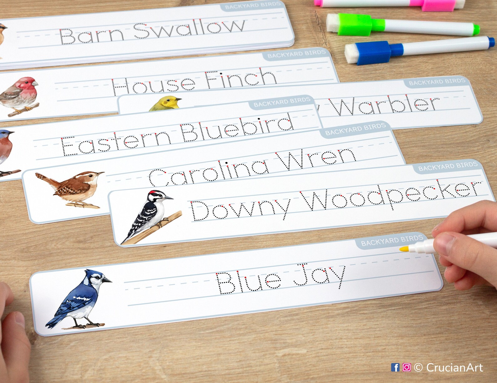North American Backyard Birds Tracing Cards. Printable Learning ...