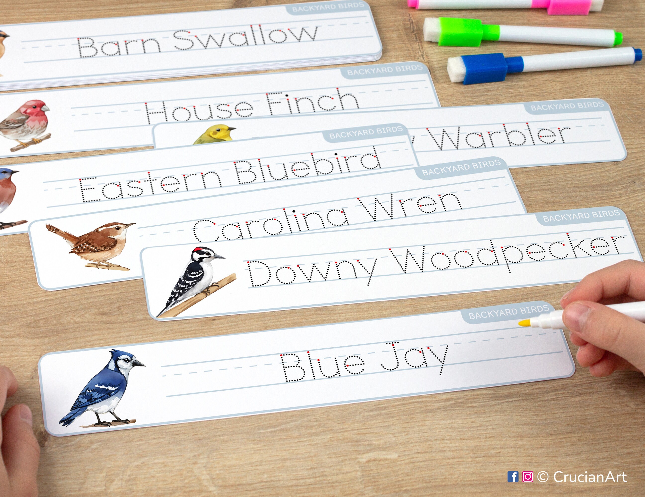 North American Backyard Birds Tracing Cards. Printable Learning ...
