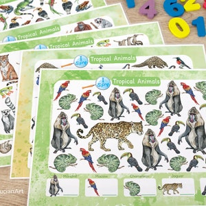 I Spy Tropical Rainforest Jungle Animals Counting Activity. Preschool ...
