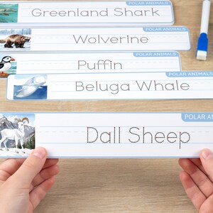 Arctic Animals Handwriting Worksheets: Printable Vocabulary Activity ...