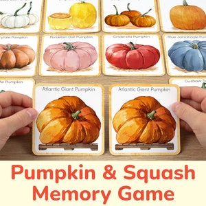 Pumpkin & Squash Memory Game: Printable Matching Activity. Autumn ...