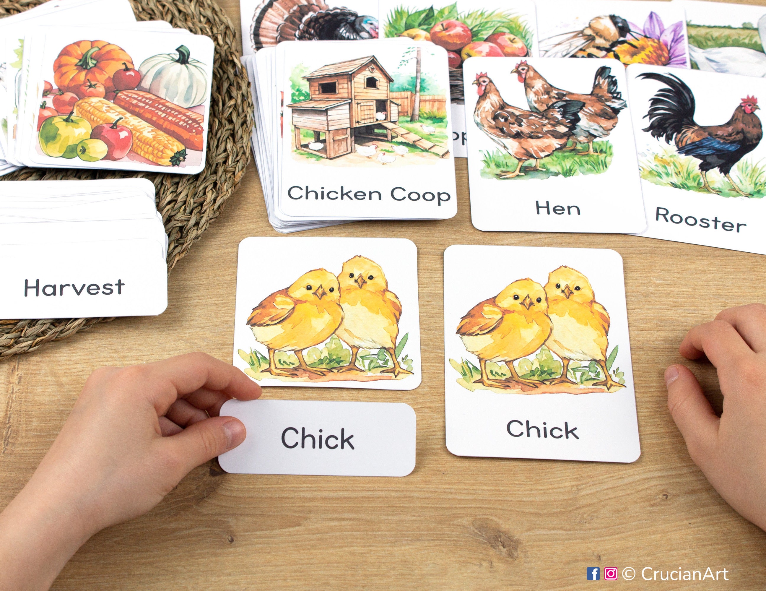 Farm Life Words Learning Flashcards. 3-part Cards Printable - Etsy