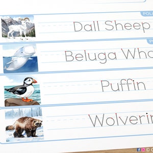 Arctic Animals Handwriting Worksheets: Printable Vocabulary Activity ...