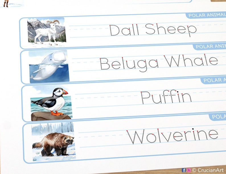 Arctic Animals Handwriting Worksheets: Printable Vocabulary Activity ...