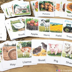 Farm Life Three-part Cards, Visual Flashcard and Word Matching ...