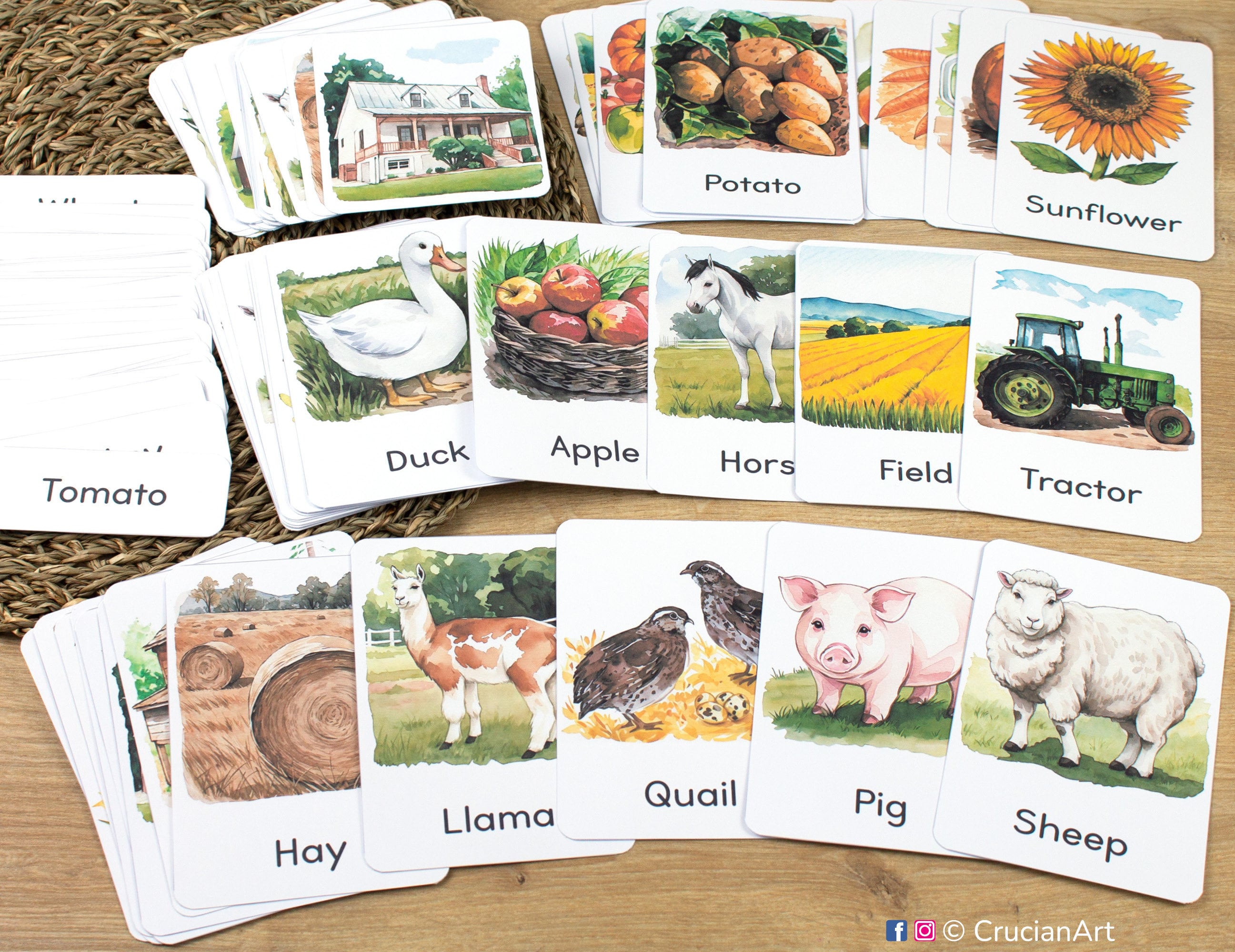 Farm Life Words Learning Flashcards. 3-part Cards Printable - Etsy