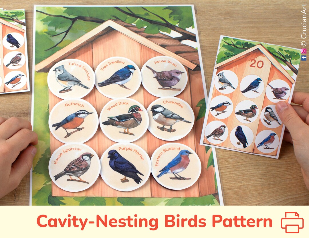 Cavity-nesting Birds Pattern Recognition Activity. Printable Matching ...